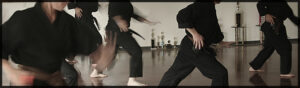 History / Development – Hojutsu.com